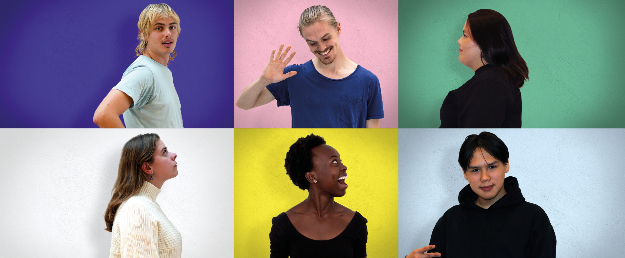 What is family - what is the Nordic region? - NAPA